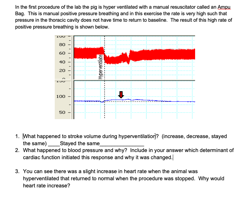 Solved In the first procedure of the lab the pig is hyper | Chegg.com