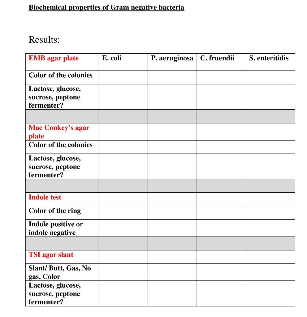 Solved These are the results you observe. And once you | Chegg.com