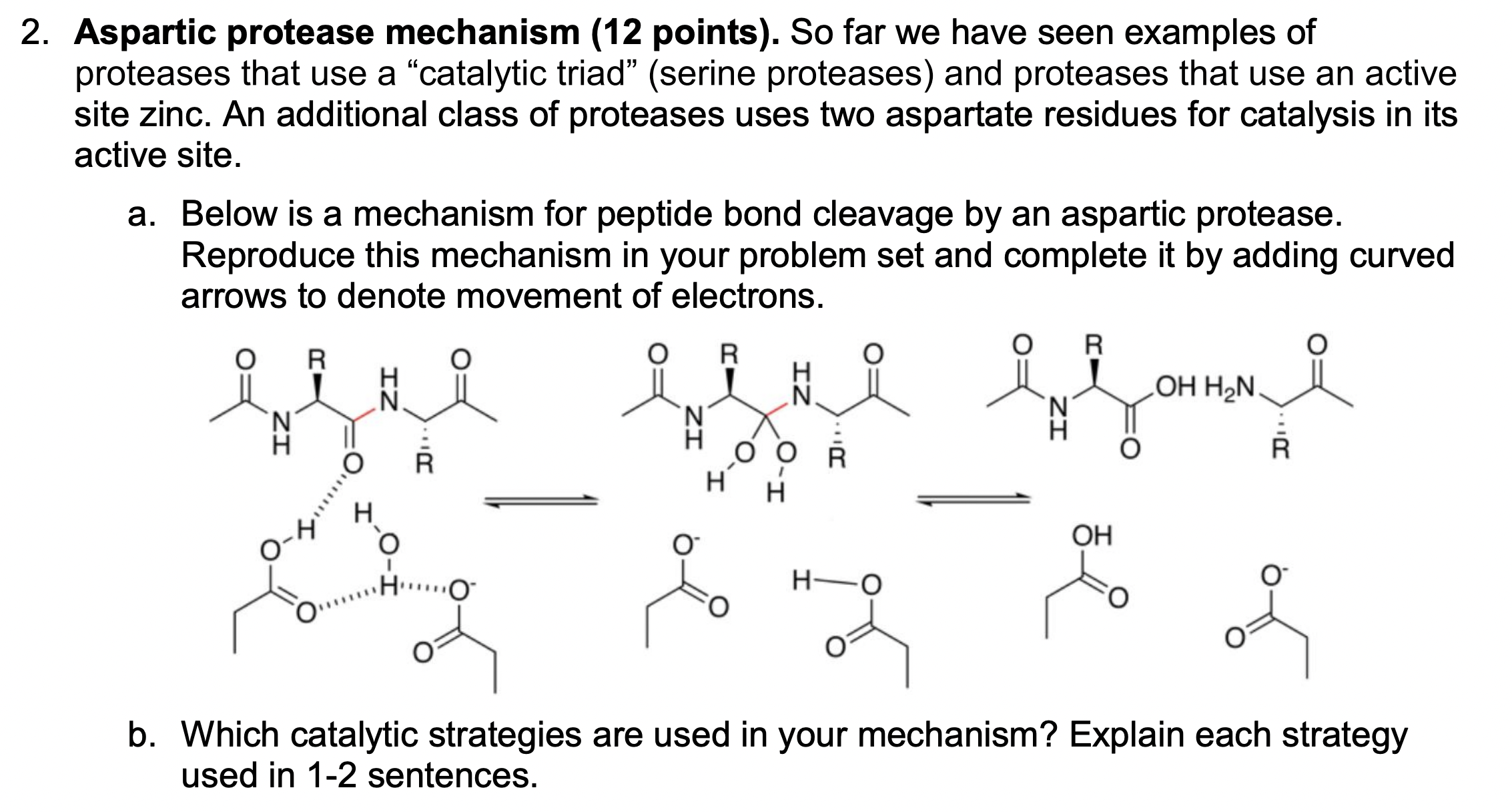 Solved 2. Aspartic protease mechanism (12 points). So far we | Chegg.com