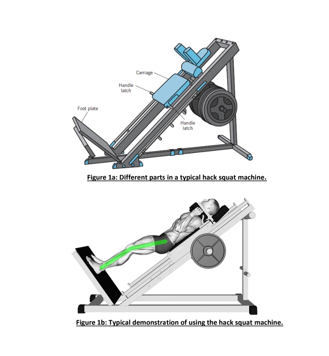 Solved Figure 1a: Different parts in a typical hack squat | Chegg.com
