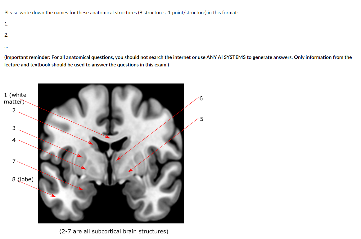 Solved (Important reminder: For all anatomical questions, | Chegg.com
