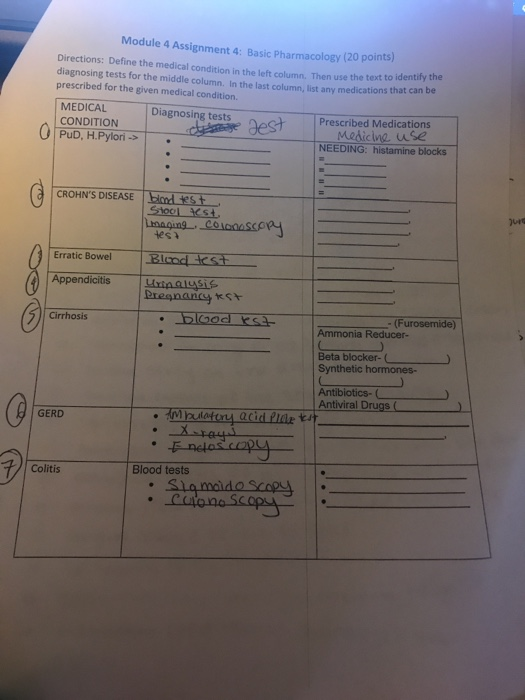 Solved Module 4 Assignment 4: Basic Pharmacology (20 points | Chegg.com