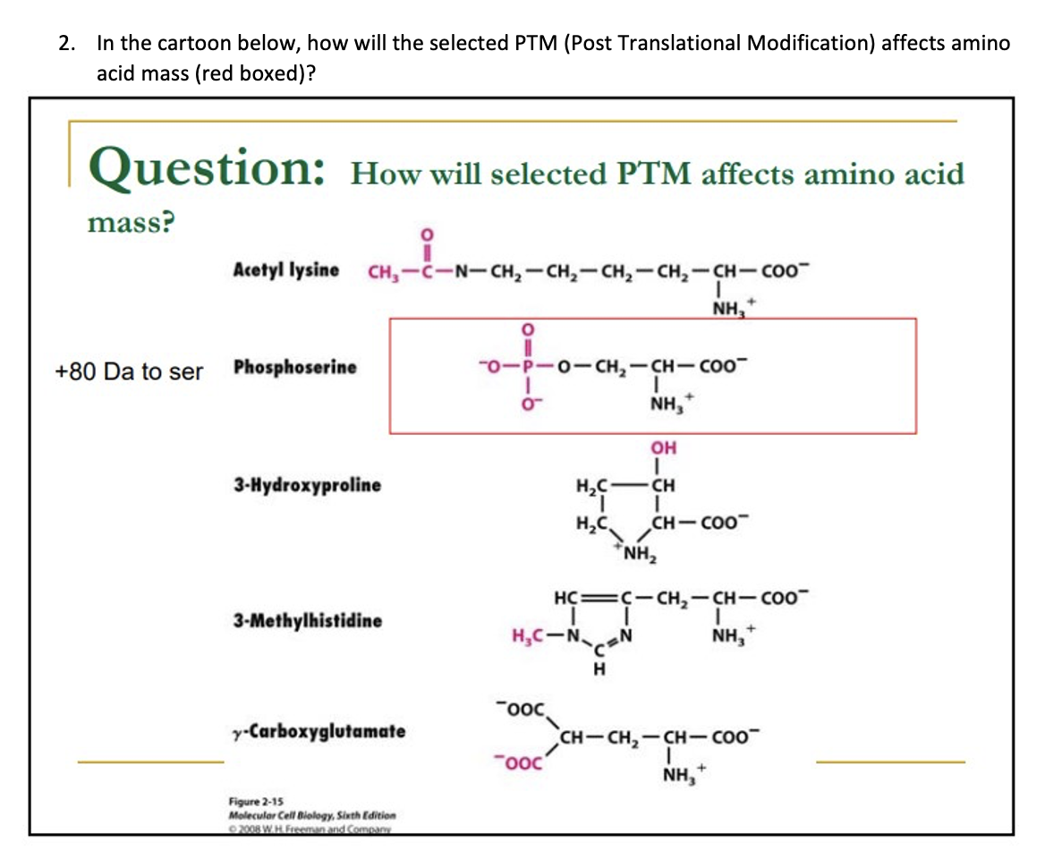 Solved 2. In the cartoon below, how will the selected PTM | Chegg.com