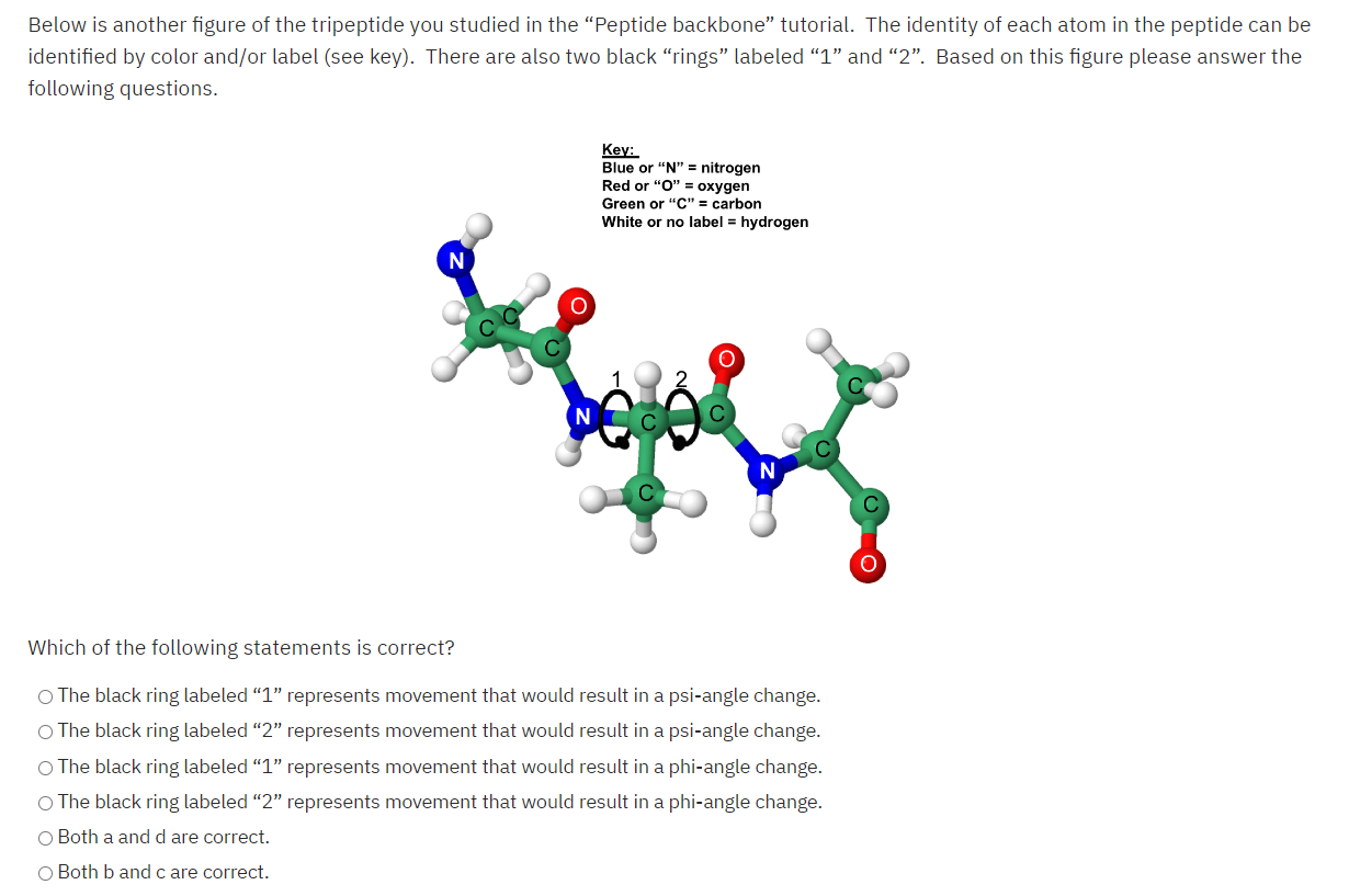 Solved Below is another figure of the tripeptide you studied | Chegg.com