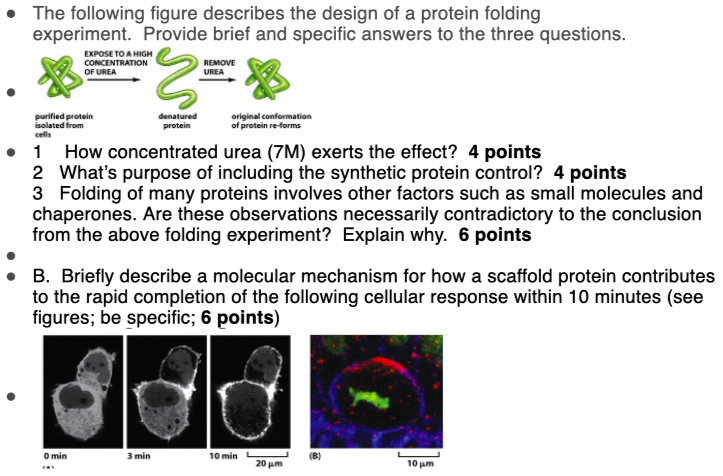 The following figure describes the design of a | Chegg.com
