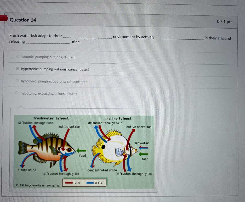 Solved The isotonic solution of the potato cells can be | Chegg.com