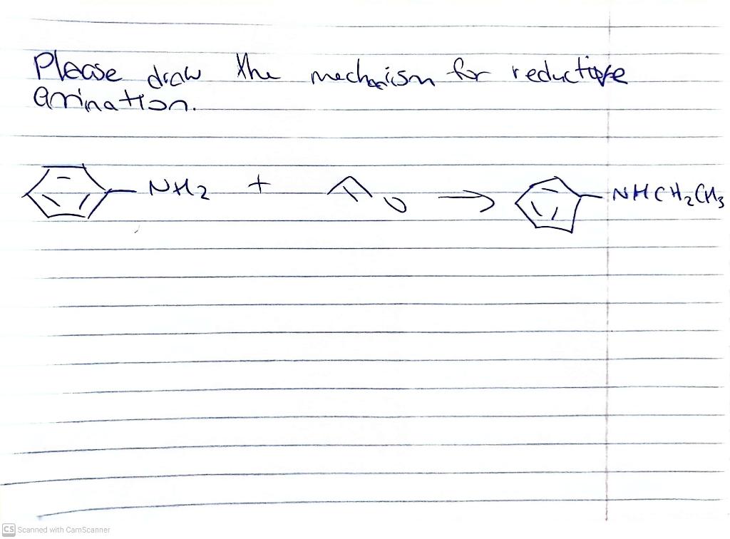 Solved Please draw the mecharisn for reductive amination. | Chegg.com