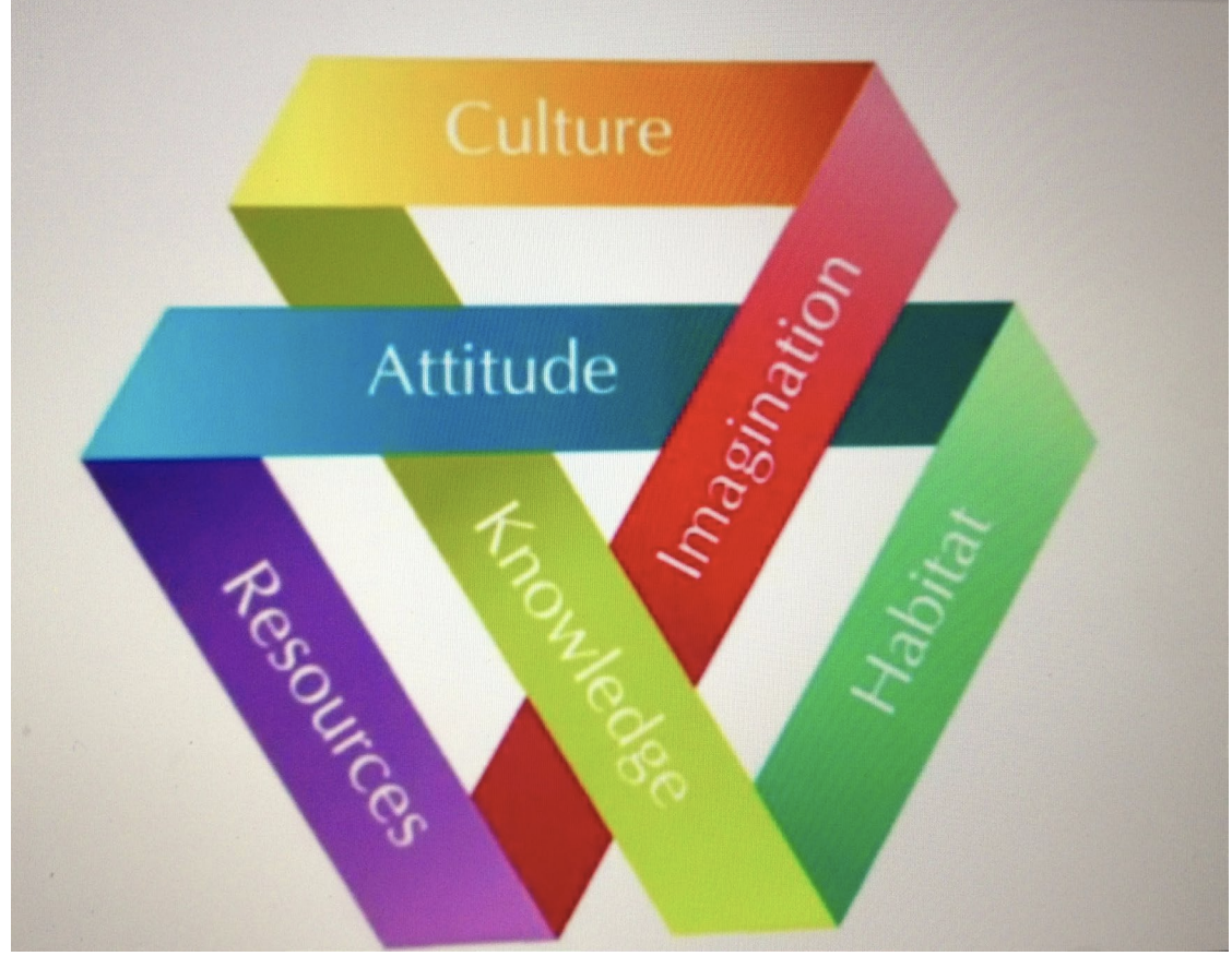 Solved The visual represents the Innovation Engine. The | Chegg.com