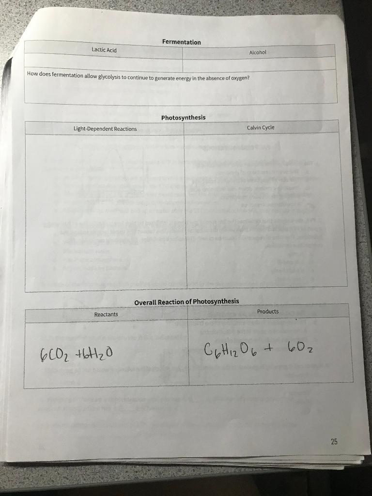 Solved steps of Cellular Respiration Pyruvate Oxidation | Chegg.com