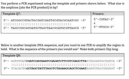 Solved You perform a PCR experiment using the template and | Chegg.com