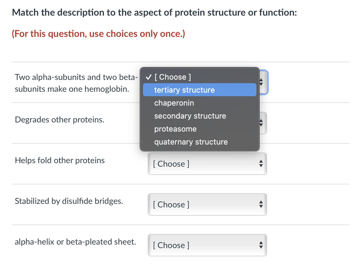 Solved Match the description to the aspect of protein | Chegg.com