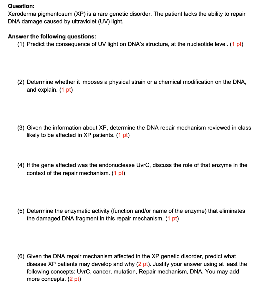 Solved Question: Xeroderma pigmentosum (XP) is a rare | Chegg.com