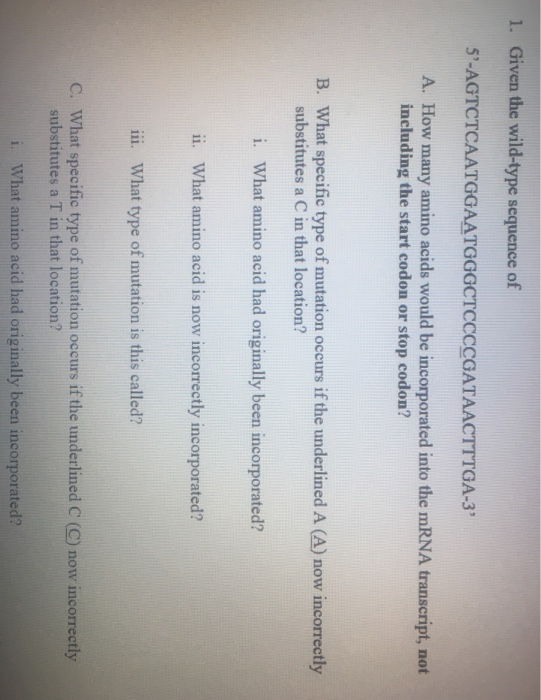 Solved 1. Given the wild-type sequence of | Chegg.com