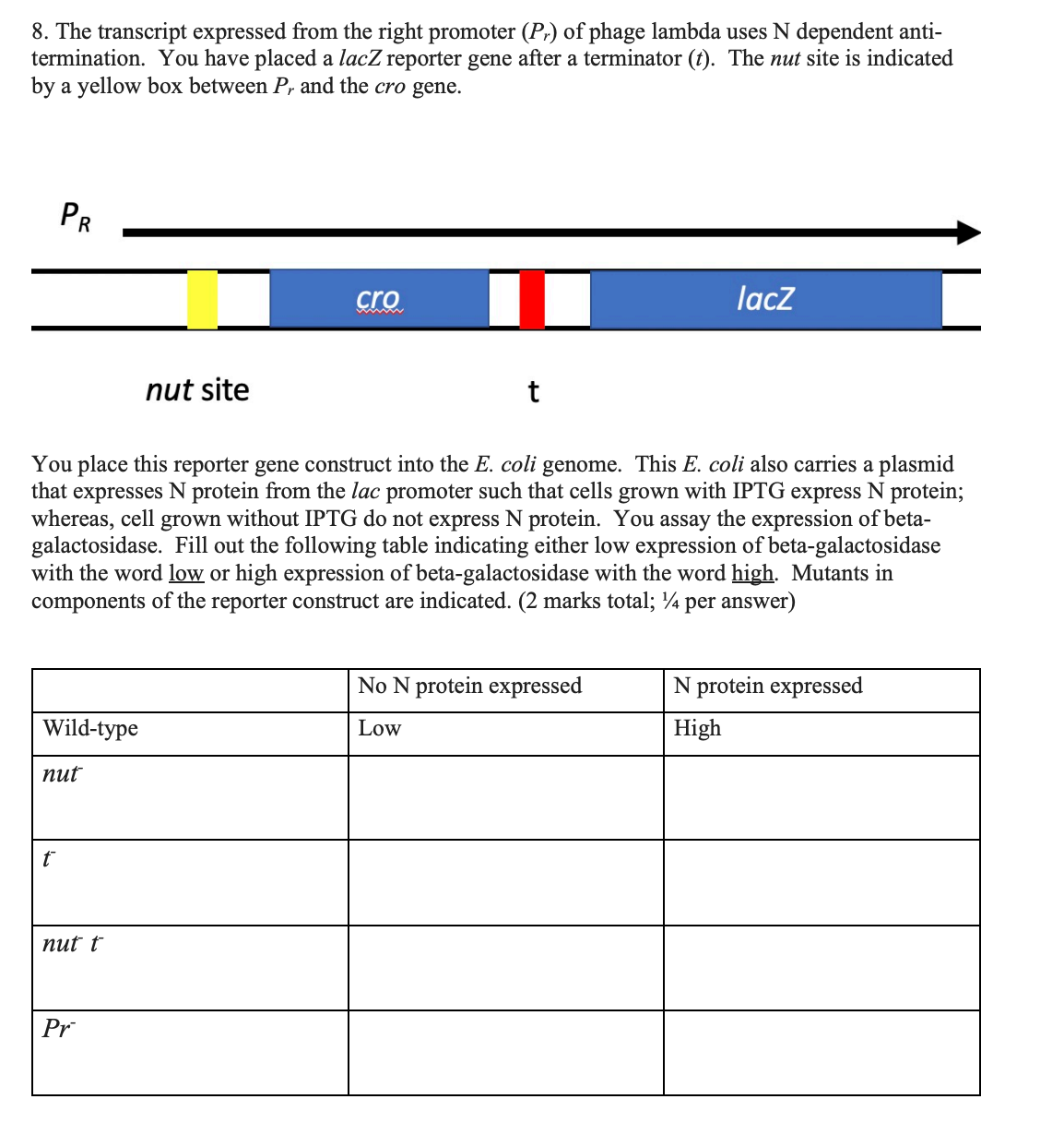 Solved 8. The transcript expressed from the right promoter | Chegg.com