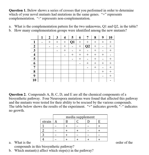 Solved Question 1. Below shows a series of crosses that you | Chegg.com