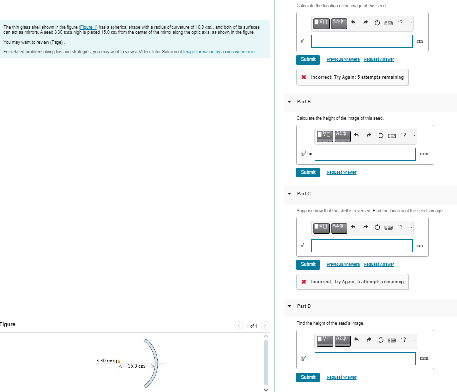 Solved Calculate the location of the image of this seed. The | Chegg.com