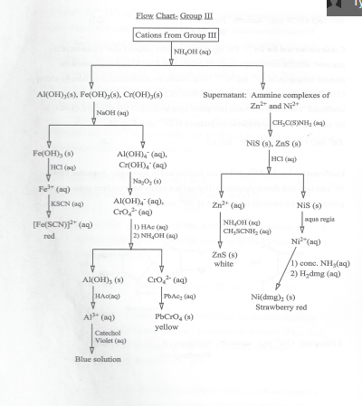 Solved SESSION III: Identification of Group III cations Tyle | Chegg.com
