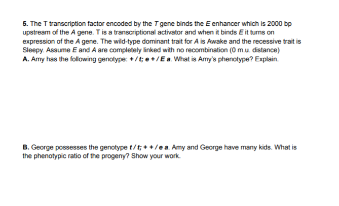 Solved The T ﻿transcription factor encoded by the T ﻿gene | Chegg.com