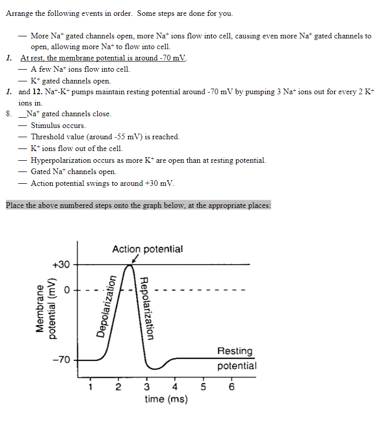 Solved Arrange the following events in order. Some steps are | Chegg.com