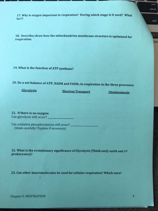 Solved BIOLOGY 151 NAME CHAPTER 9: CELLULAR RESPIRATION | Chegg.com