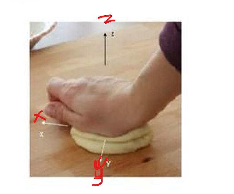 Solved Press the pastry dough and form it into a shape. In | Chegg.com