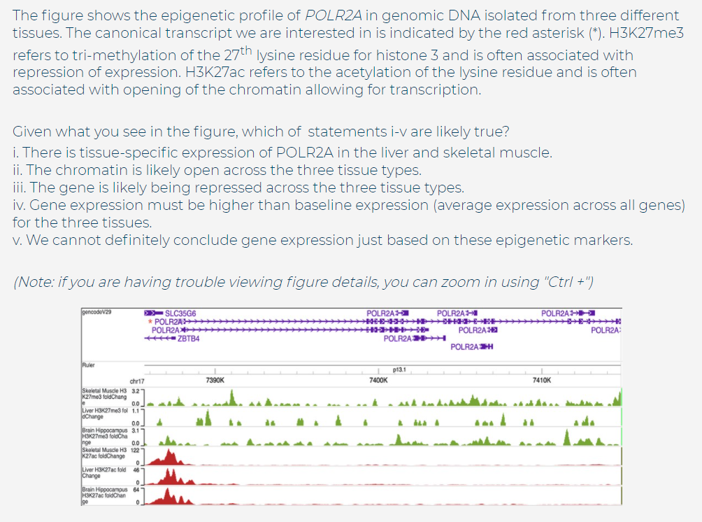 Solved The figure shows the epigenetic profile of POLR2A in | Chegg.com
