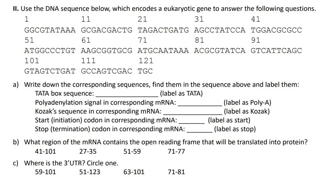 Solved 1. Use the DNA sequence below, which encodes a | Chegg.com