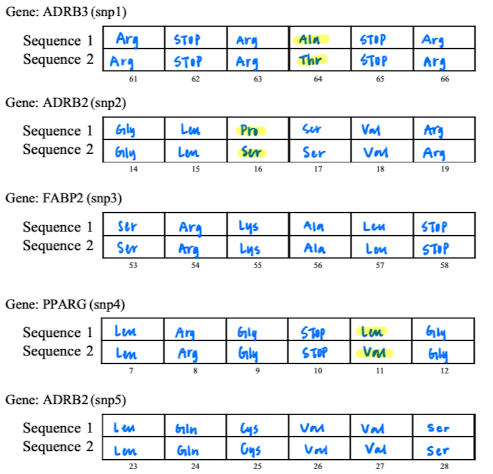 Solved (5 pts) The position of each amino acid is shown in | Chegg.com