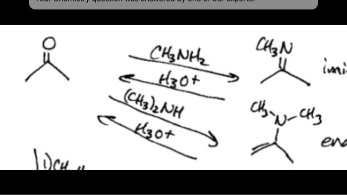 Solved CH3N -(CH3, NH 20木 | Chegg.com