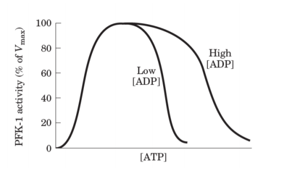 Solved Regulation of PFK-1 The effect of ATP on the | Chegg.com