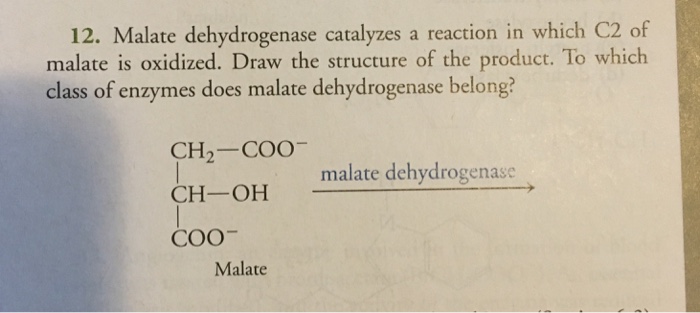 Solved Malate dehydrogenase catalyzes a reaction in which C2 | Chegg.com