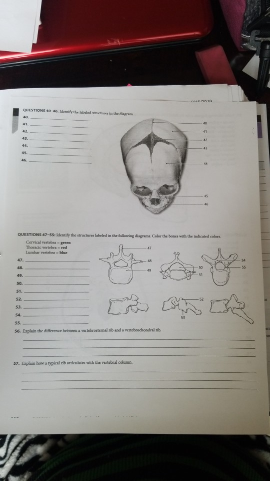 Solved 9/16/2019 Lab Section Date EXERCISE 7 REVIEW SHEET | Chegg.com