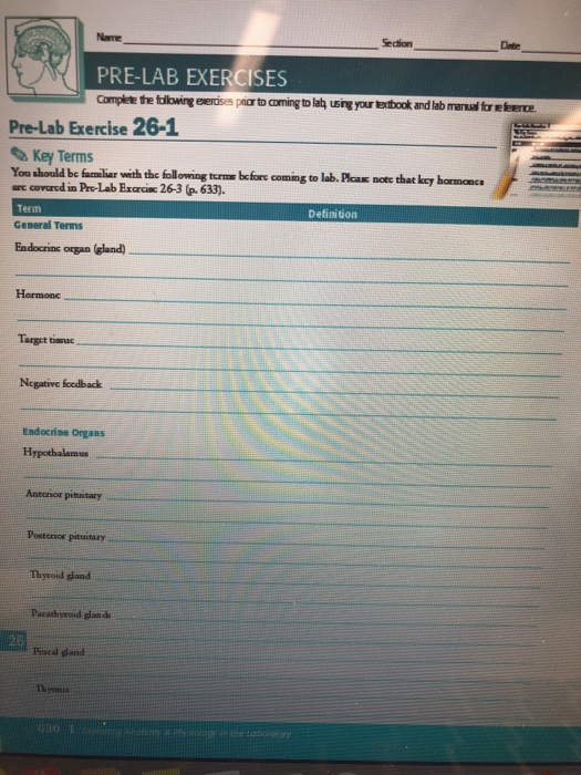 Solved Nate Section Date V PRE-LAB EXERCISES Compkete | Chegg.com