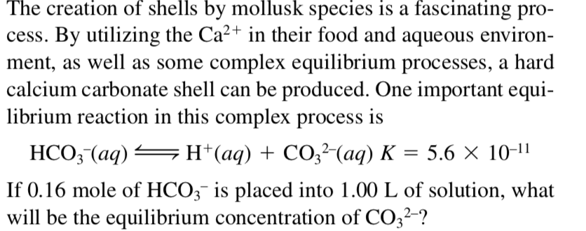 Calcium Carbonate Shells