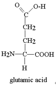 Glutamic Acid Structure