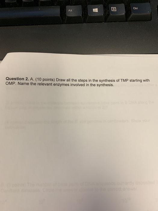 Solved Ctri Alt Question 2. A. (10 points) Draw all the | Chegg.com Solved Ctri Alt Question 2. A. (10 points) Draw all the | Chegg.com