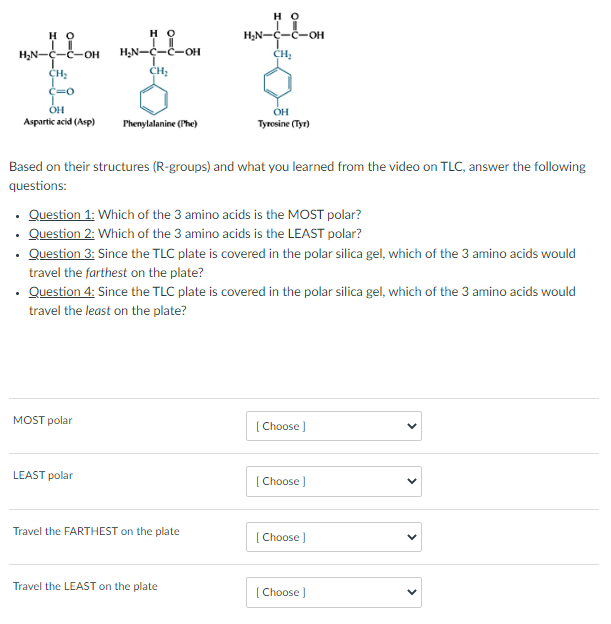 Solved Based on their structures (R-groups) and what you | Chegg.com