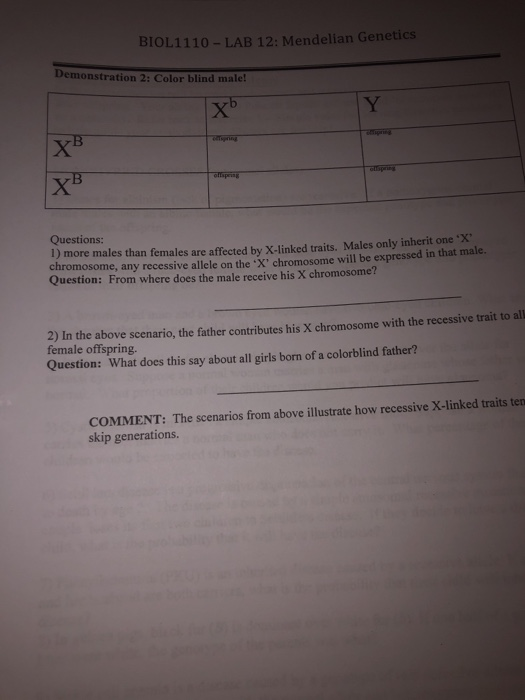Solved BIOL1110-LAB 12: Mendelian Genetics EXERCISE | Chegg.com
