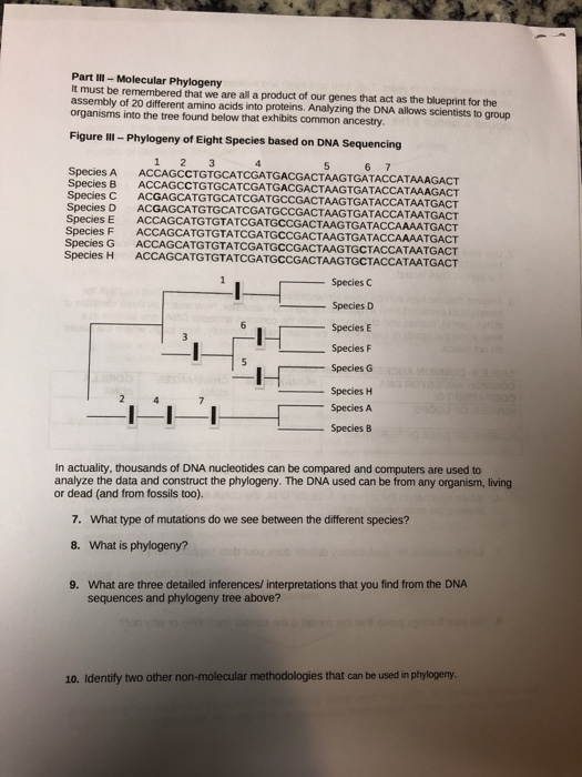 Solved MicroEvolution Lab Genetic Technology and Evolution | Chegg.com