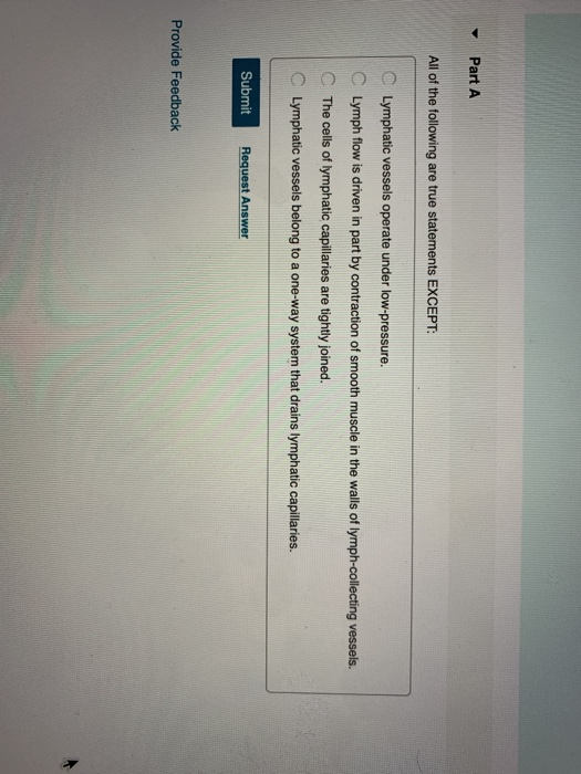 Solved Lymph/Immune Art-based Question Chapter 20 Question 8 | Chegg.com