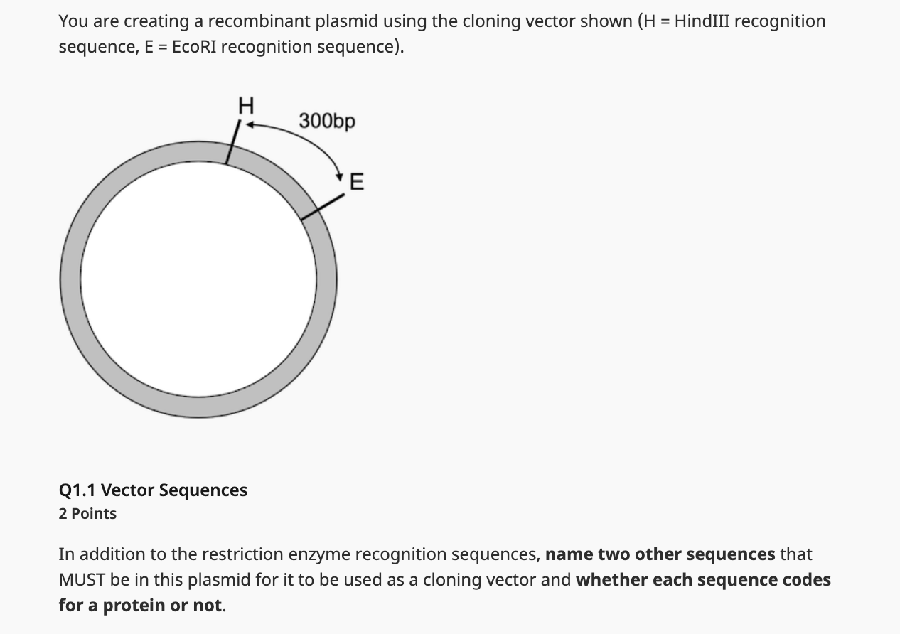 Solved You are creating a recombinant plasmid using the | Chegg.com