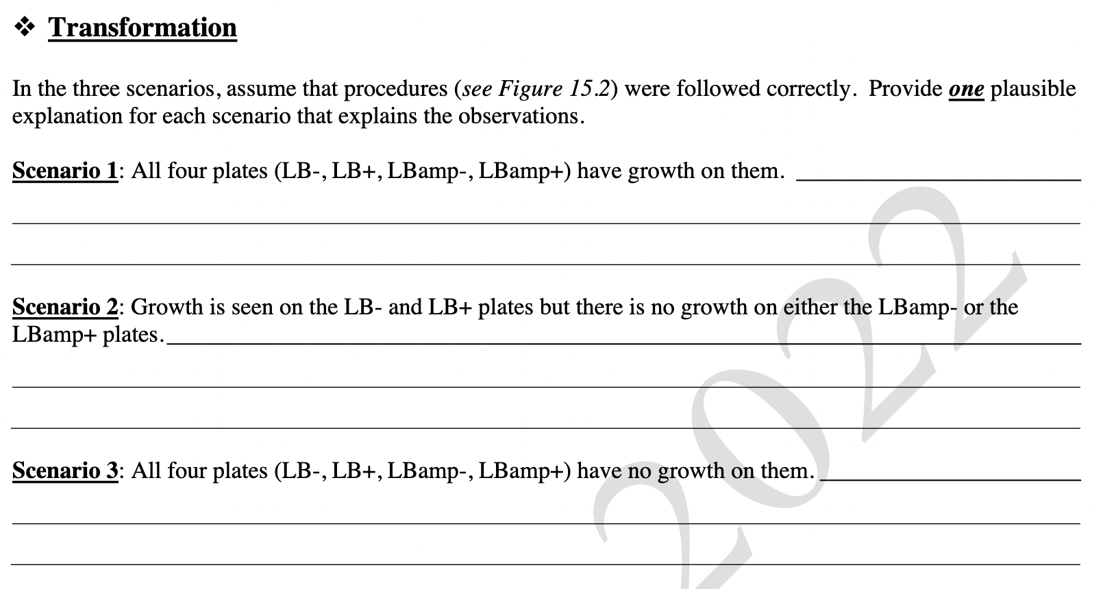 Solved Transformation In the three scenarios, assume that | Chegg.com