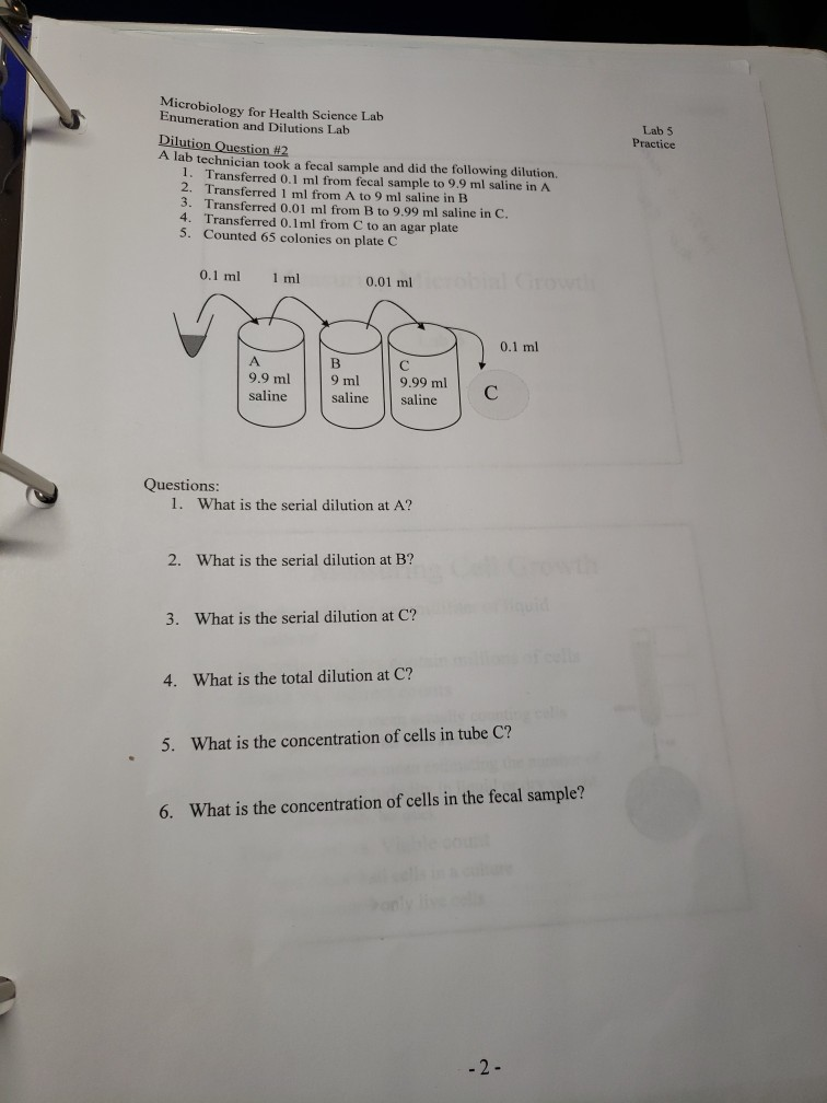 Solved Microbiology for Health Science Lab Enumeration and | Chegg.com