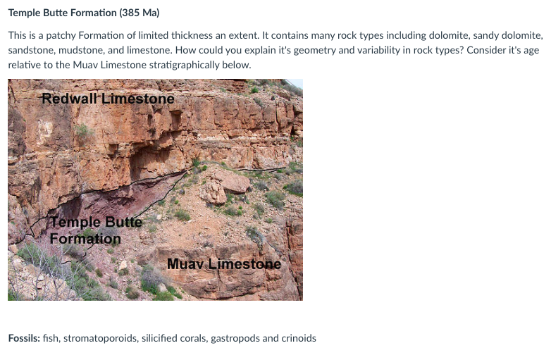 Solved Temple Butte Formation (385 Ma) This is a patchy | Chegg.com