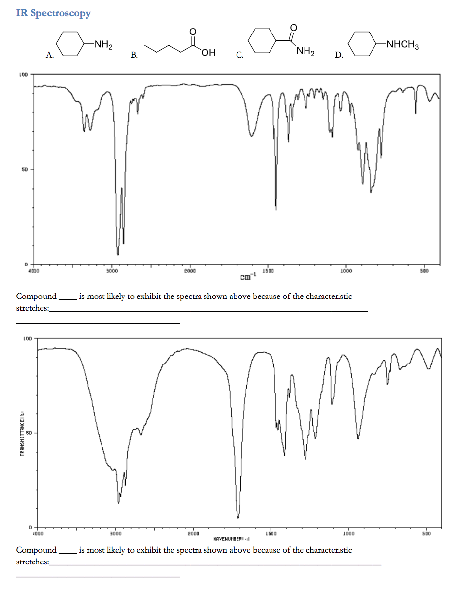 Solved IR Spectroscopy -NH2 -NHCH3 NH2 Но. C. A. B. LOD 50 | Chegg.com
