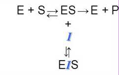 Solved E+S⇄ESS→E+F+I⇓EIS | Chegg.com