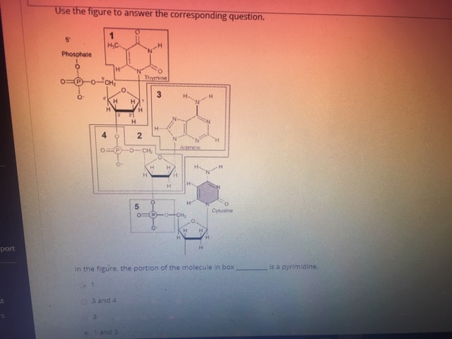 Solved Use the figure to answer the corresponding question. | Chegg.com