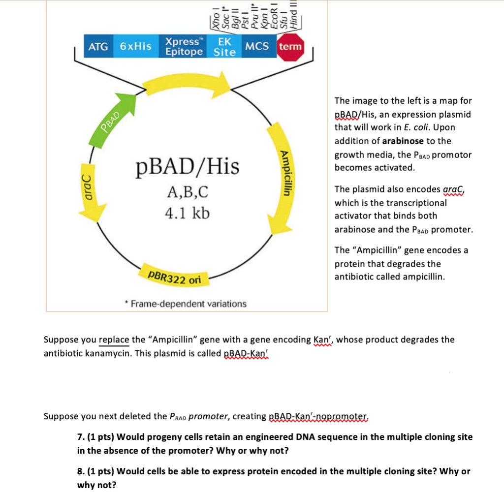 Pbad Vector Huge Discount | brunofuga.adv.br