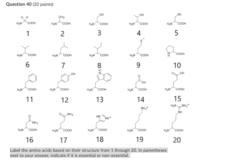 Solved Label the amino acids based on their structure from 1 | Chegg.com
