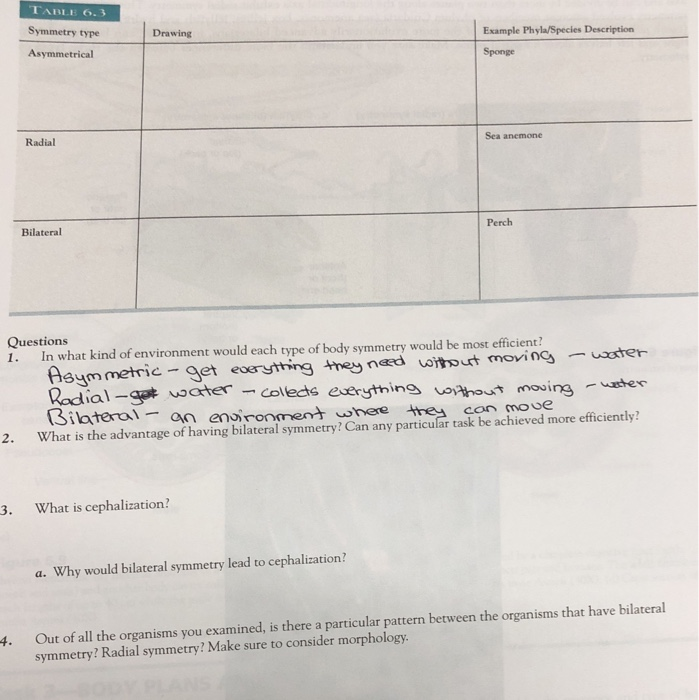 Solved TABLE 6.3 Symmetry type Asymmetrical Drawing Example | Chegg.com